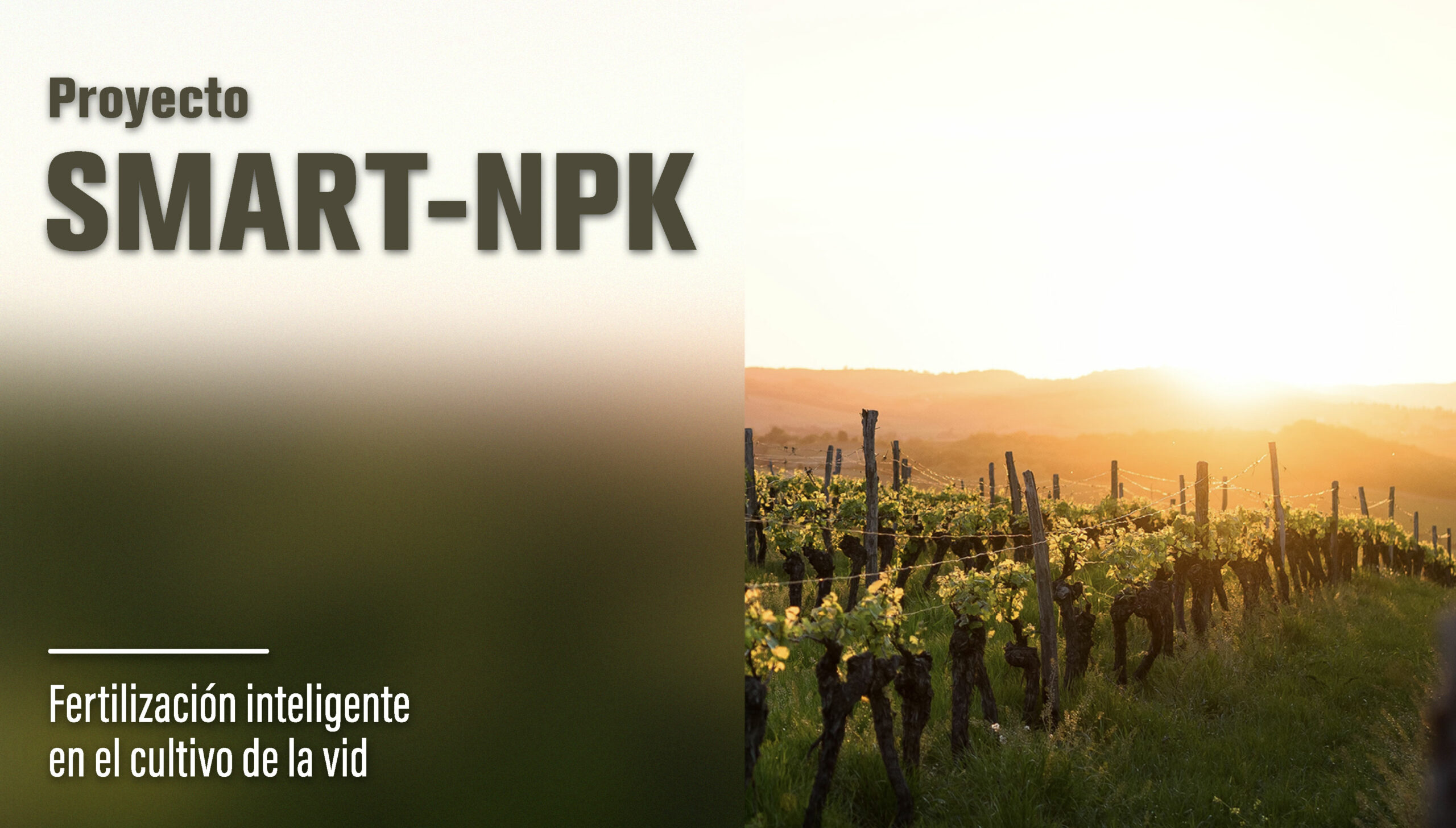 Proyecto SMART-NPK